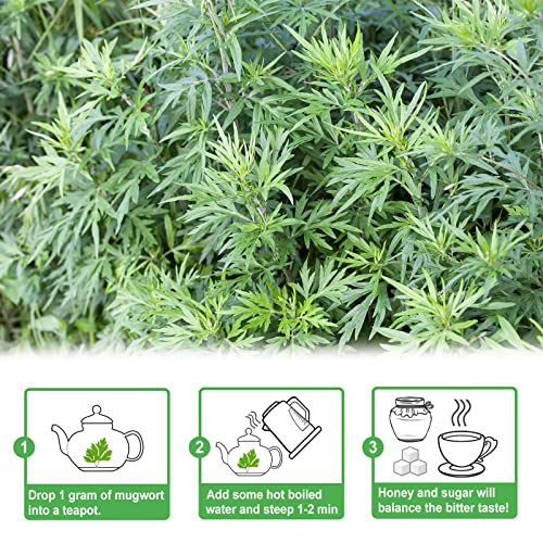 TEARELAE - Natural Mugwort Herb Dried Leaves - 4oz/114g - Mugwort Tea Loose Leaf - Non-GMO, Sulfur-free - 100% Pure Premium Dried Herbs - Help Sleep A Lucid Dream