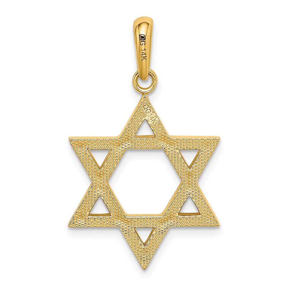Solid 14k Yellow Gold Star of David Lucky Jewish Pendant Charm - 33mm x 20mm