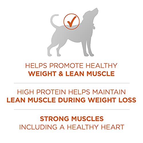 Purina ONE Plus Healthy Weight High-Protein Dog Food Dry Formula - 40 lb. Bag