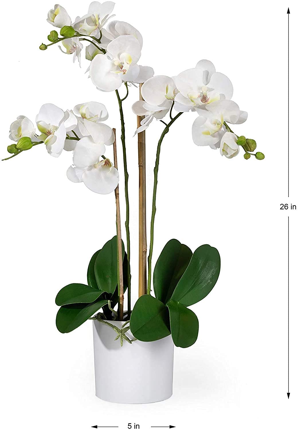 Serene Spaces Living 3 White Realistic Phalaenopsis Orchids in Pot, Artificial Potted Flowers - Beautiful Entryway Vase, Foyer Table Décor, Measures 26" Tall & 5" Diameter