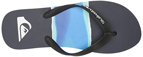 Quiksilver Men's Molokai Airbrushed 3 Point Flip Flop Sandal, Blue 1, 12