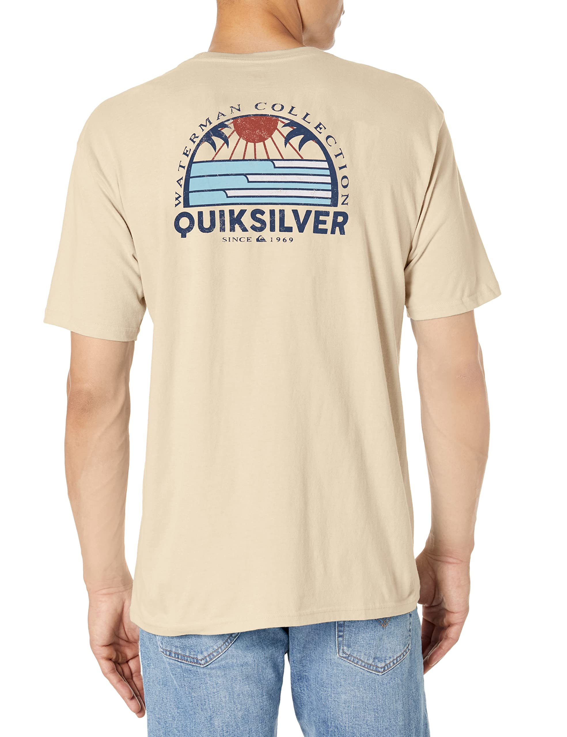 Quiksilver Men's Set View Tee, Brown Rice, Large