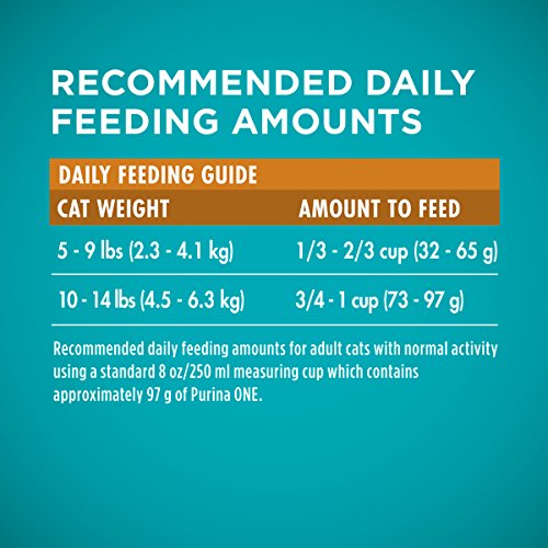 Purina ONE Natural Dry Cat Food, Tender Selects Blend With Real Chicken - 22 lb. Bag
