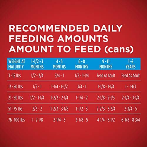 Purina ONE Plus Wet Puppy Food Classic Ground Healthy Puppy Lamb and Long Grain Rice Entree - (Pack of 12) 13 oz. Cans
