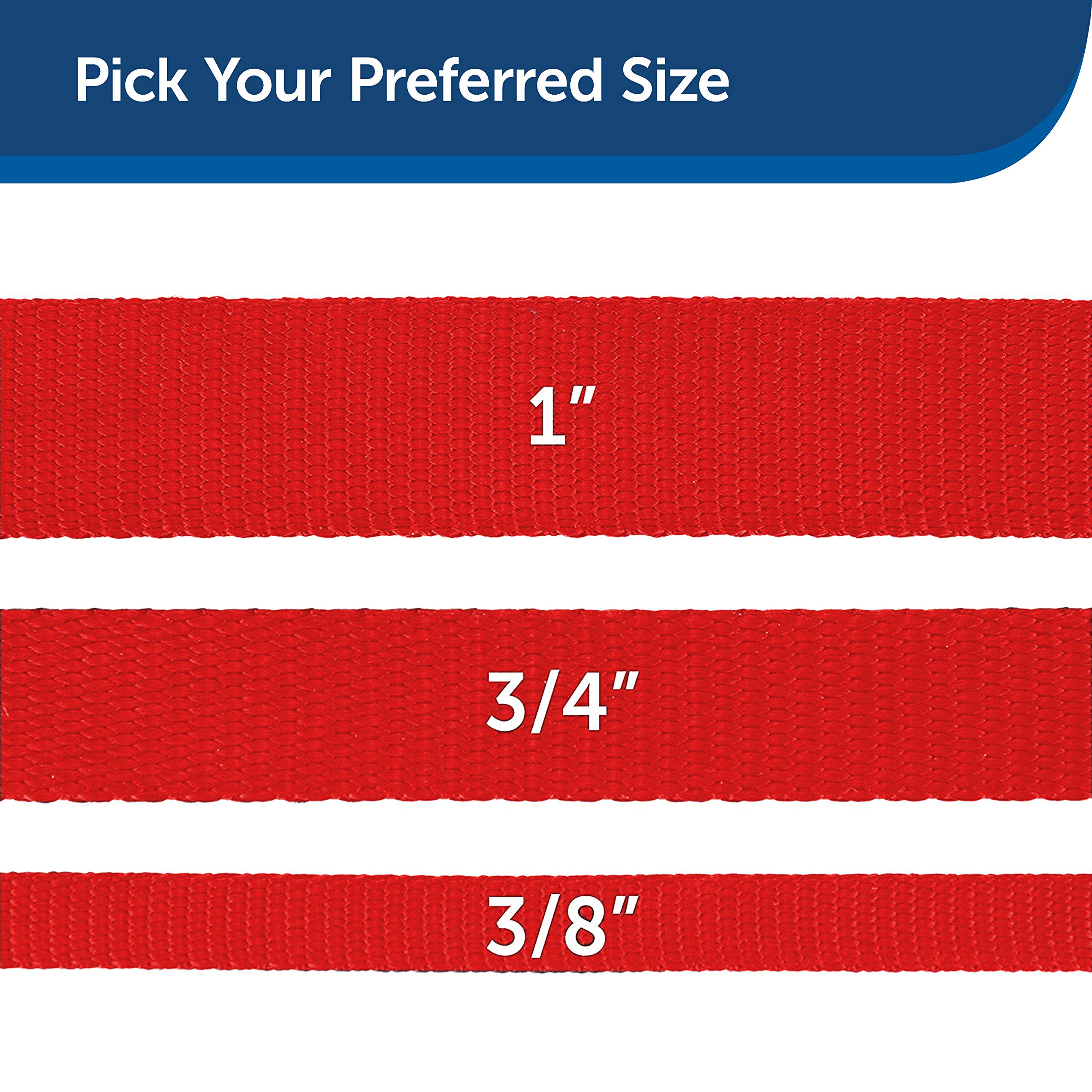 PetSafe Nylon Dog Leash β Strong, Durable, Traditional Style Leash with Easy to Use Bolt Snap β 3/4" x 6', Red