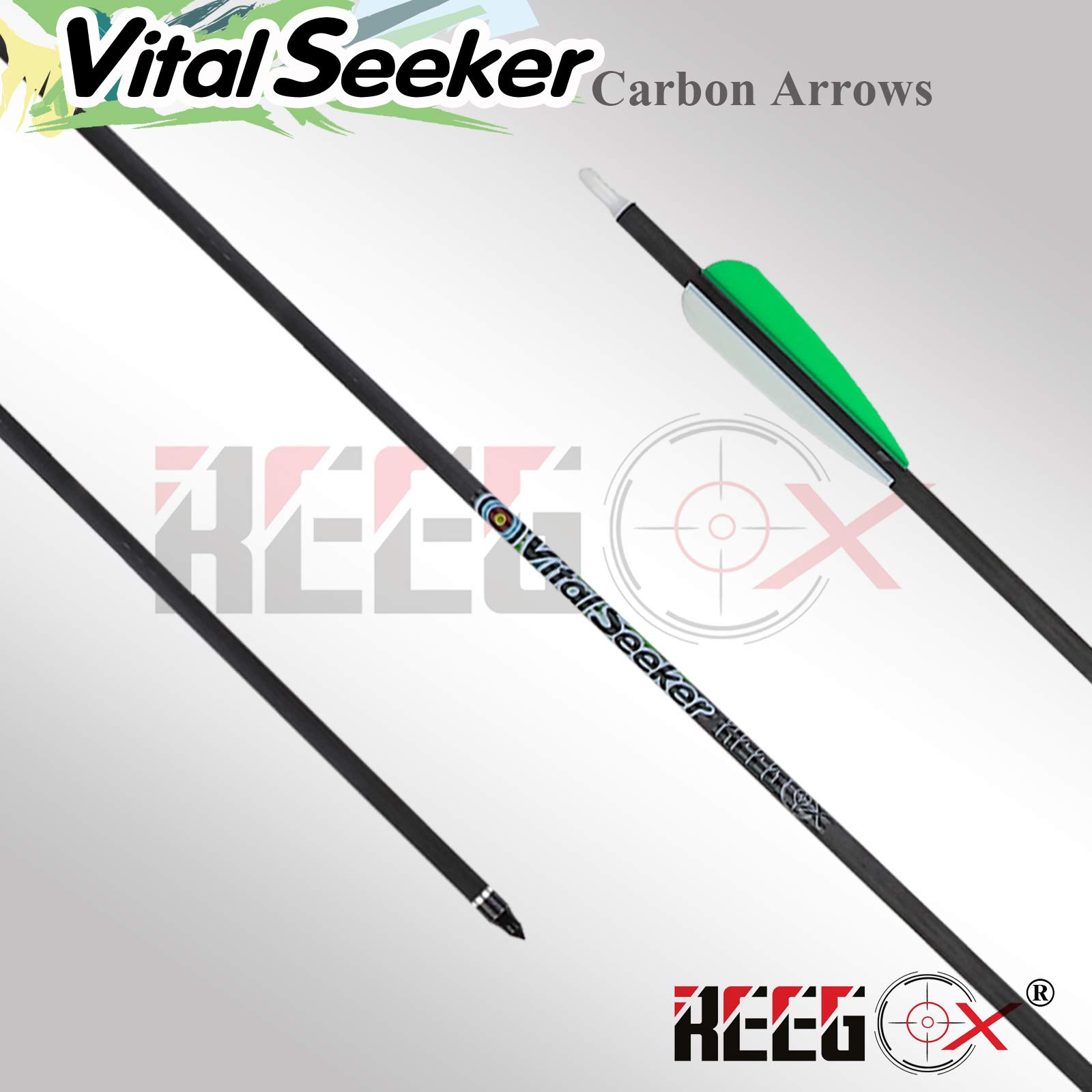 REEGOX Arrows Archery Hunting Practice Arrows for Compound and Recurve Bow-30 inch Target Arrows for Youth & Adults with Removable Tips(Pack of 12)