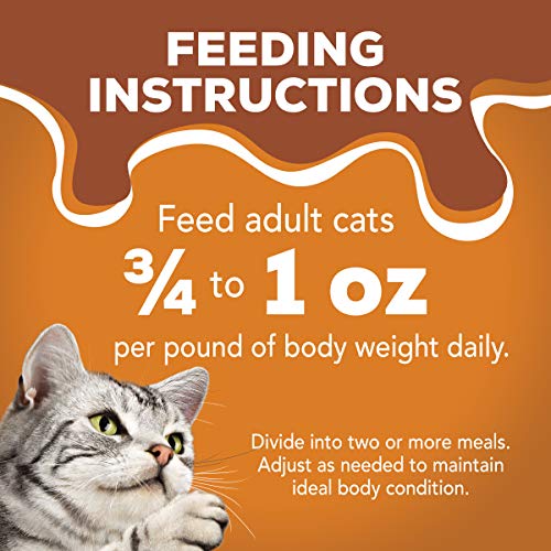 Purina Friskies Gravy Pate, Wet Cat Food Extra Gravy Pate With Chicken in Savory - (Pack of 24) 5.5 oz. Cans