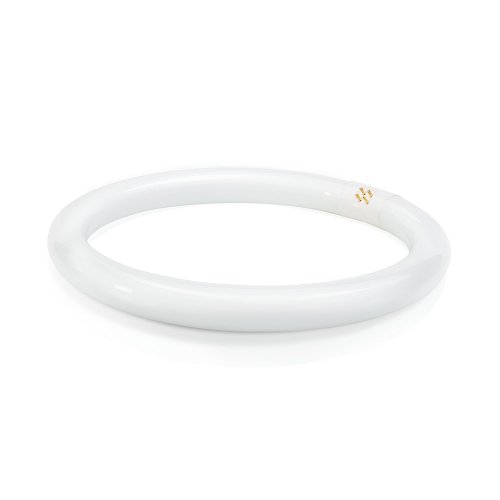 Philips 391177 Circline Fluorescent 32-Watt 12-Inch T9 Cool White Light Bulb