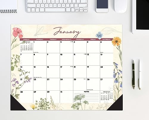 Willow Creek Press Botanical Garden Monthly 2024 Deskpad Calendar (22" x 17")