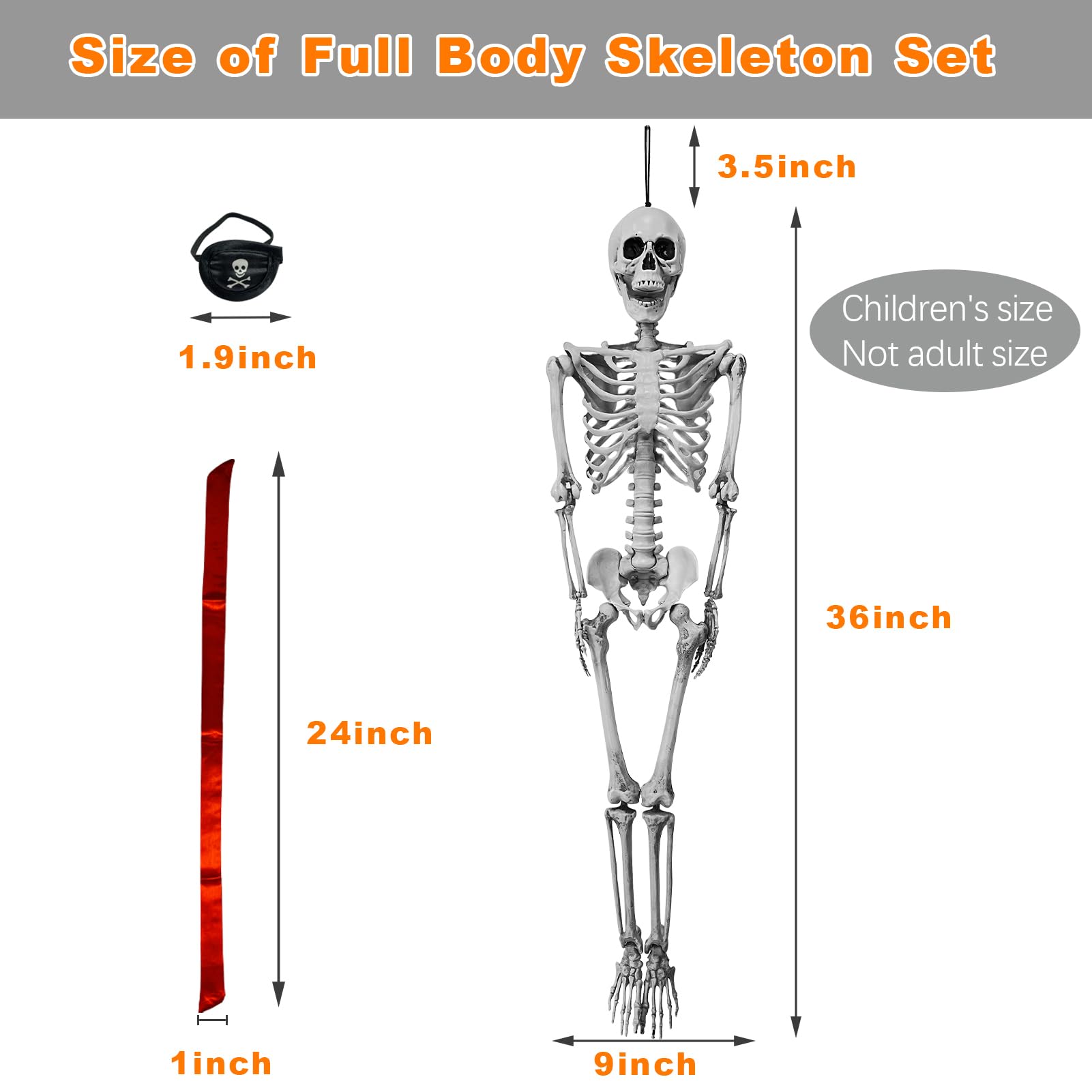 Skeleton Halloween Decor, 36'' Full Body Skeleton with Movable Joints, Posable Halloween Skeleton Decorations, Perfect for Haunted House Lawn Graveyard Yard Outdoor Indoor Party