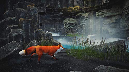 Spirit of The North - PlayStation 5 Standard Edition