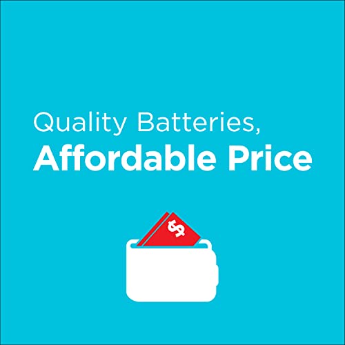 Rayovac D Batteries, Alkaline D Cell Batteries (6 Battery Count)