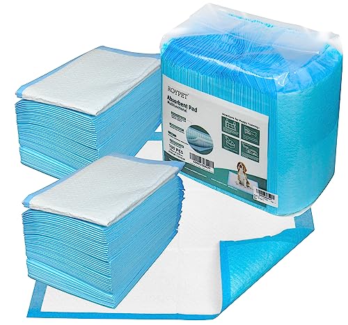 Roypet 22" x 22" Puppy Training Pads in Bag, 100-Count