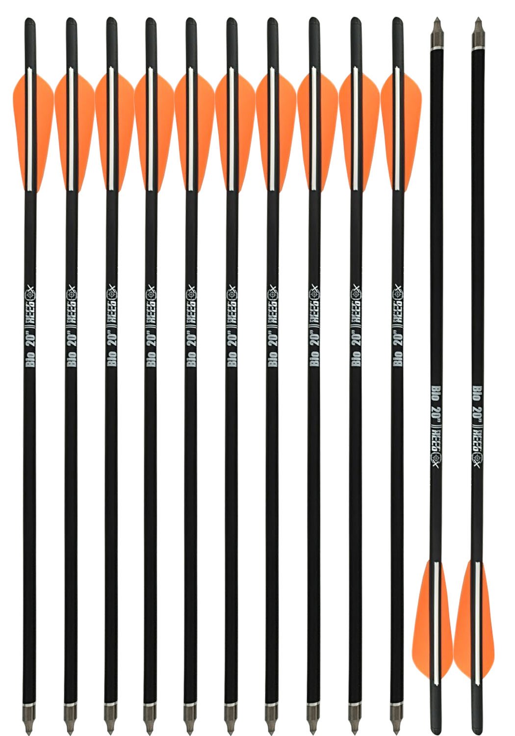 REEGOX Crossbow Bolts 20 inch Bio Crossbow Arrows with 4-Inch Vanes(Pack of 12)
