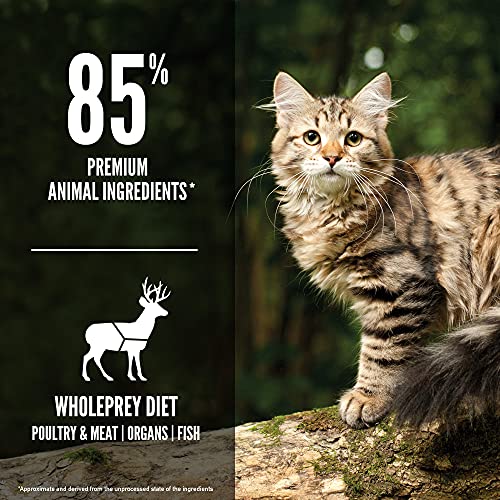 ORIJEN Dry Cat Food, Tundra, Biologically Appropriate & Grain Free