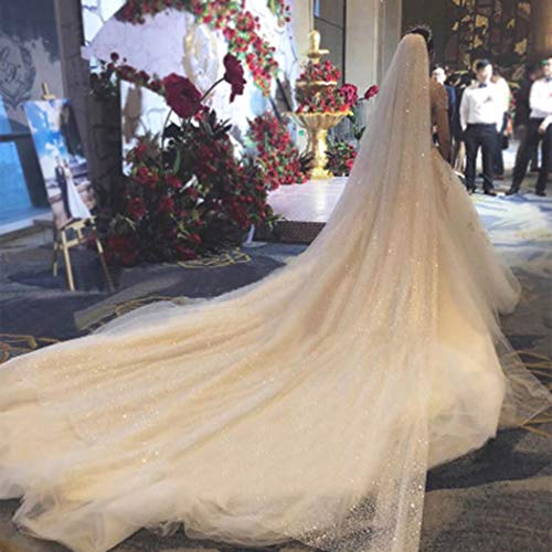 Unsutuo Cathedral 1 Tier Bride Wedding Veil Sparkling Long Bridal Tulle Veil with Comb Drop Veil Cut Edge for Bride (118''W, White)