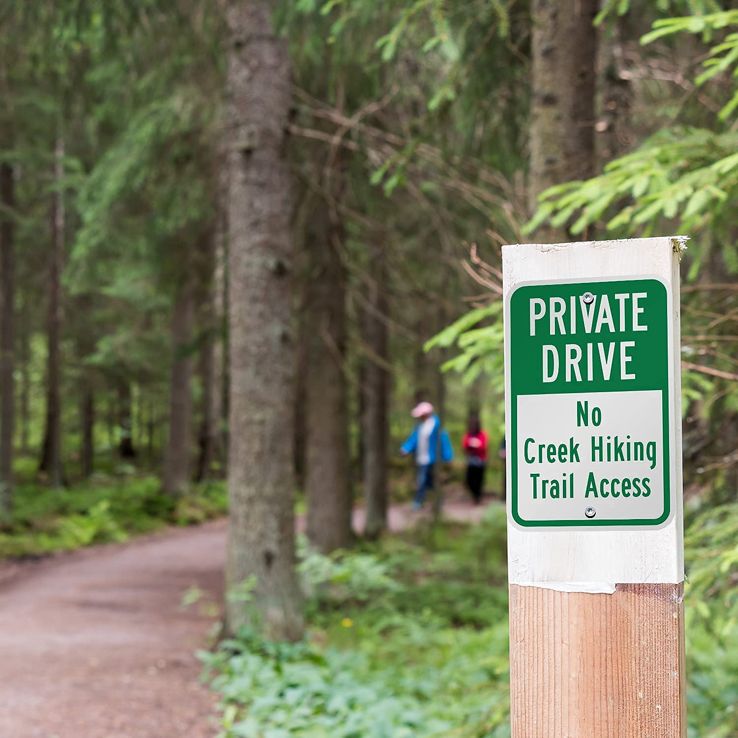 SmartSign “Private Drive, Add Your Custom Wording Here” Customizable Sign | 12" x 18" Aluminum
