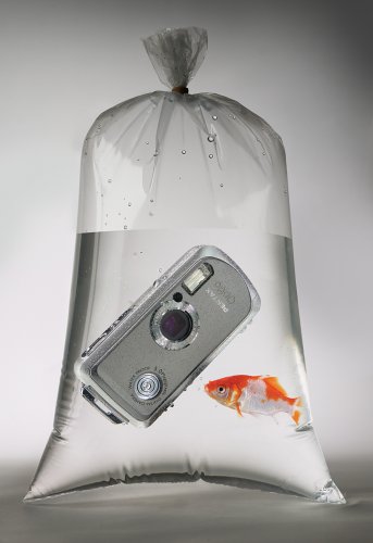 Pentax Optio WP 5MP Waterproof Digital Camera with 3x Optical Zoom