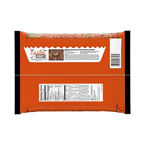 REESE'S Peanut Butter Halloween Pumpkin, Milk Chocolate Covered Peanut Butter Pumpkin Shaped Candy in Halloween Packaging, 19.2 Ounce Bag