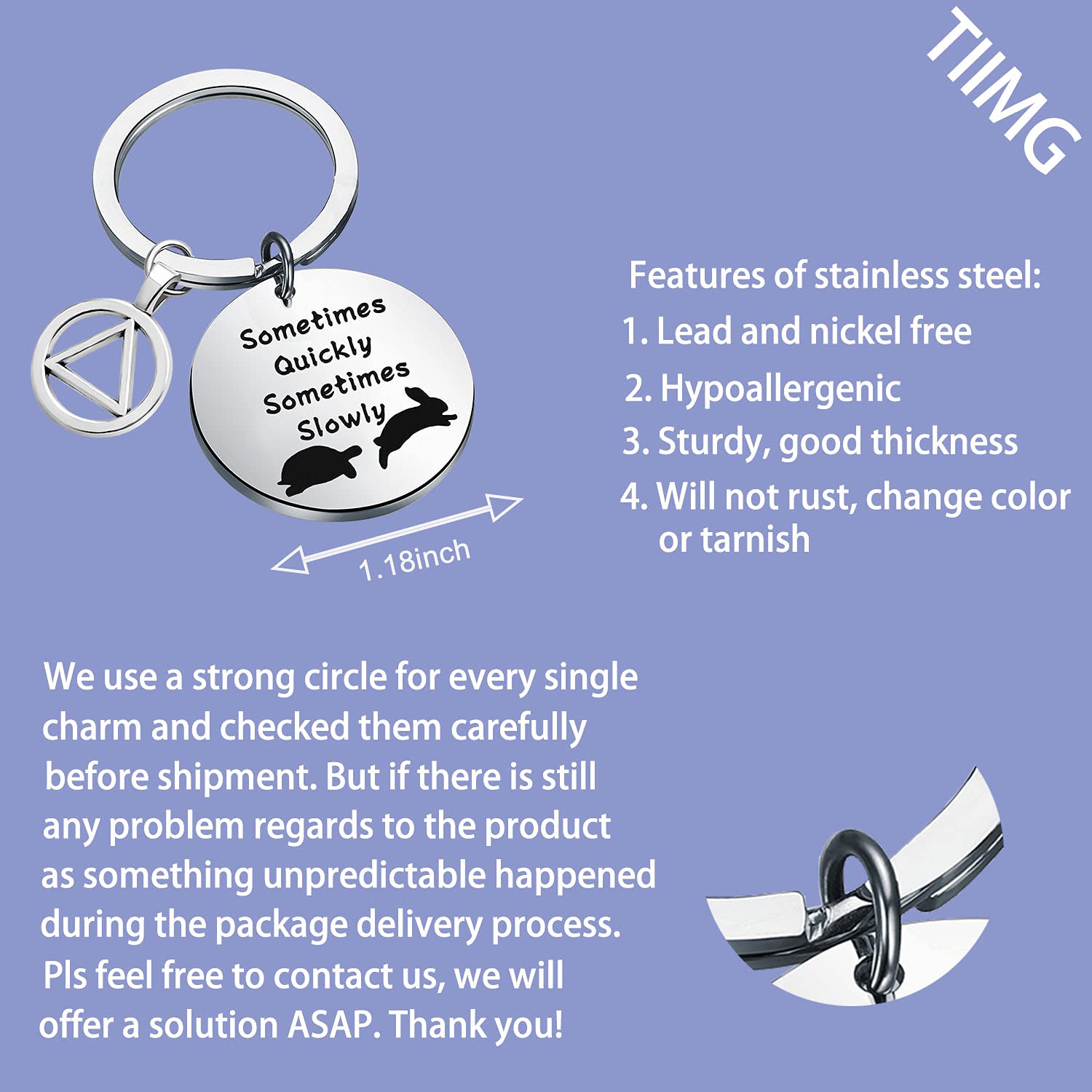 TIIMG Tortoise and Hare Sobriety keychain AA NA Inspirational Gift 12 Step Gifts New Beginning Gift (Sometimes Quickly)