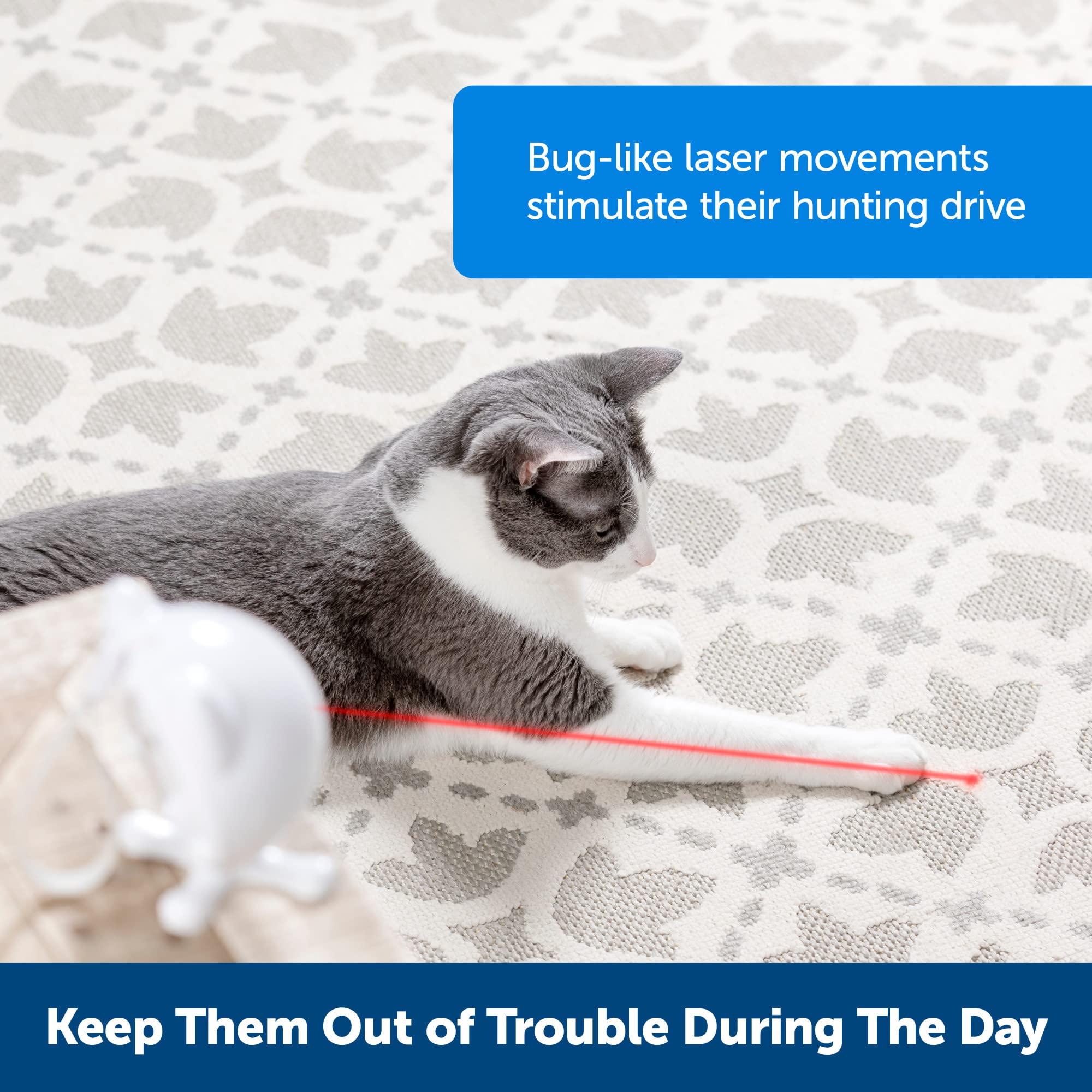 PetSafe Dancing Dot - Automatic Cat Laser Toy - Interactive - Relieves Anxiety & Boredom - Bug-Like Laser Pattern - Hands-Free Play - Hang from Doorknob or Set on Elevated Surface - Play-All-Day Mode