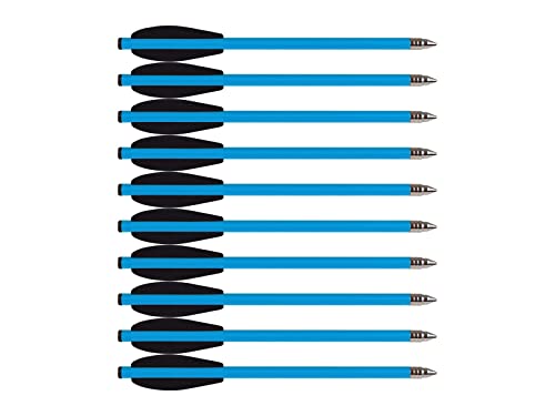 Steambow Sen-X Target Arrows