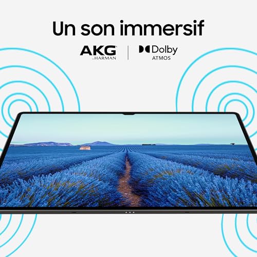 SAMSUNG Galaxy Tab S9 Ultra WiFi ONLY Factory Unlocked Tablet SM-X910NZA 14.6 Inch, Android Including S Pen US Version 2023 (Grey, 12GB+256GB),(SM-X910NZAAEUB)