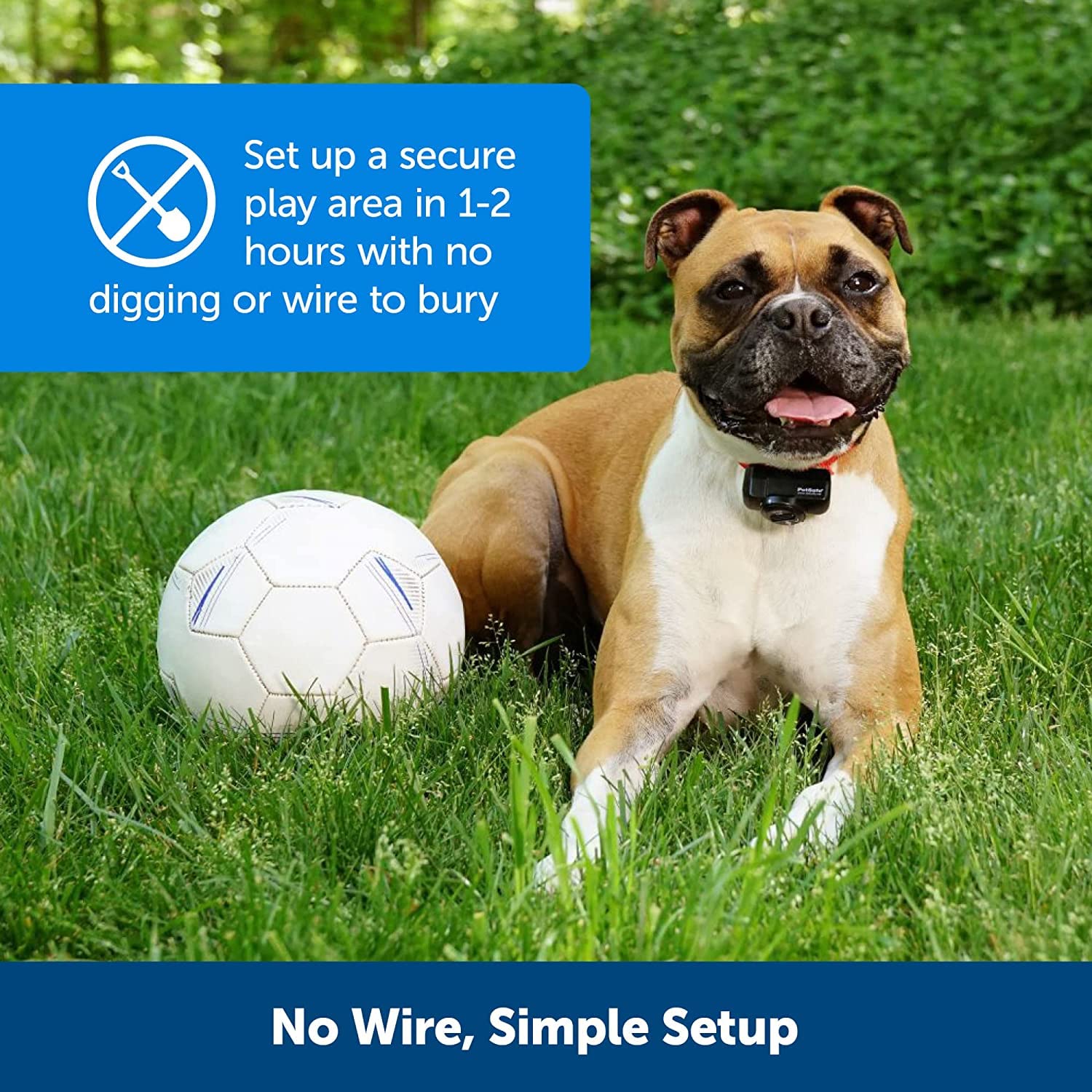 PetSafe Wireless Fence Pet Containment System, Covers up to 1/2 Acre, for Dogs Over 8 lb., 2 Waterproof Collar with Tone/Static Correction