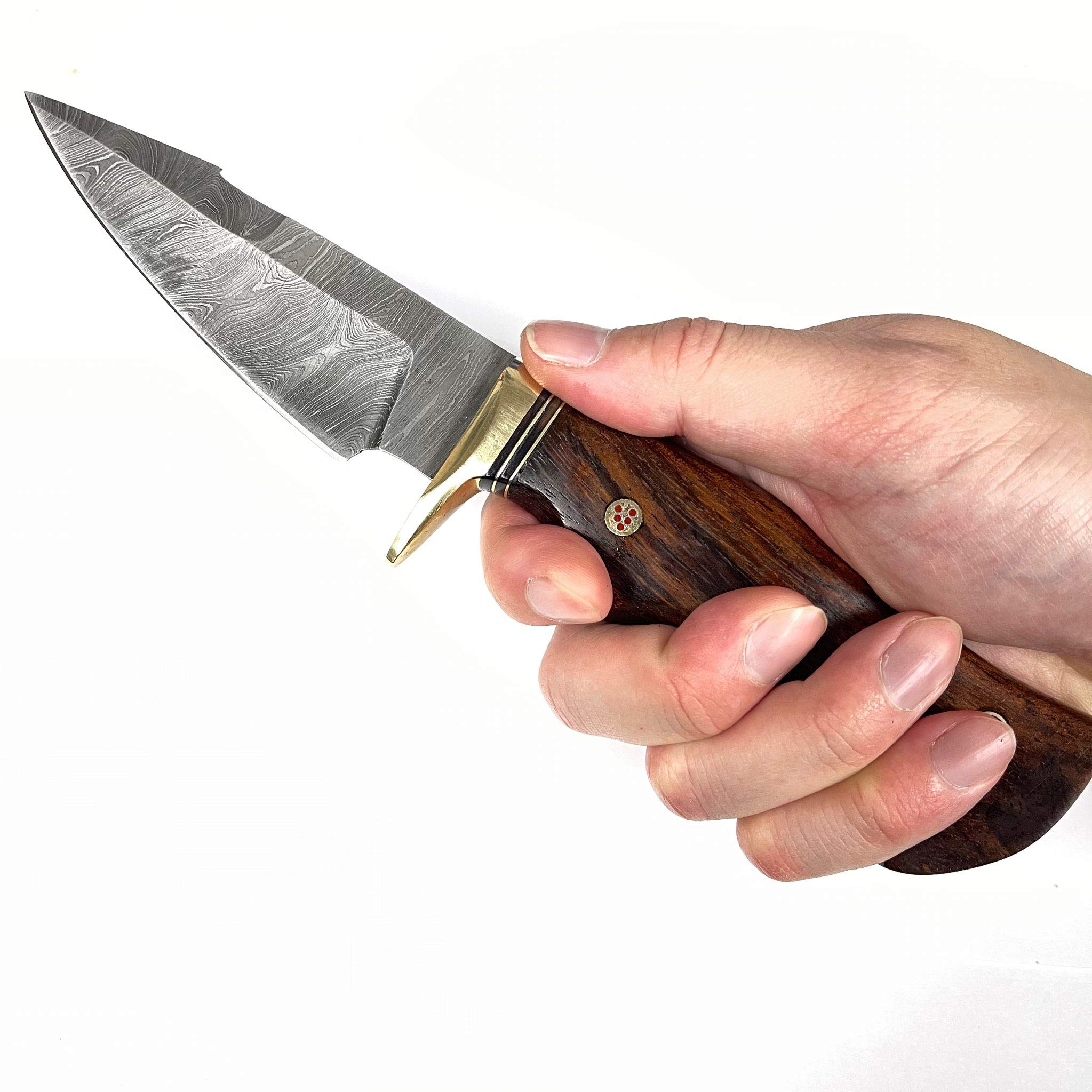 Vortex Blade Shop Custom Handmade Damascus Steel Hunting Survival Knife with Leather Sheath EDC 9.5" Overall Walnut Wood Handle and Brass Guard with Mosaic Pinned Handle