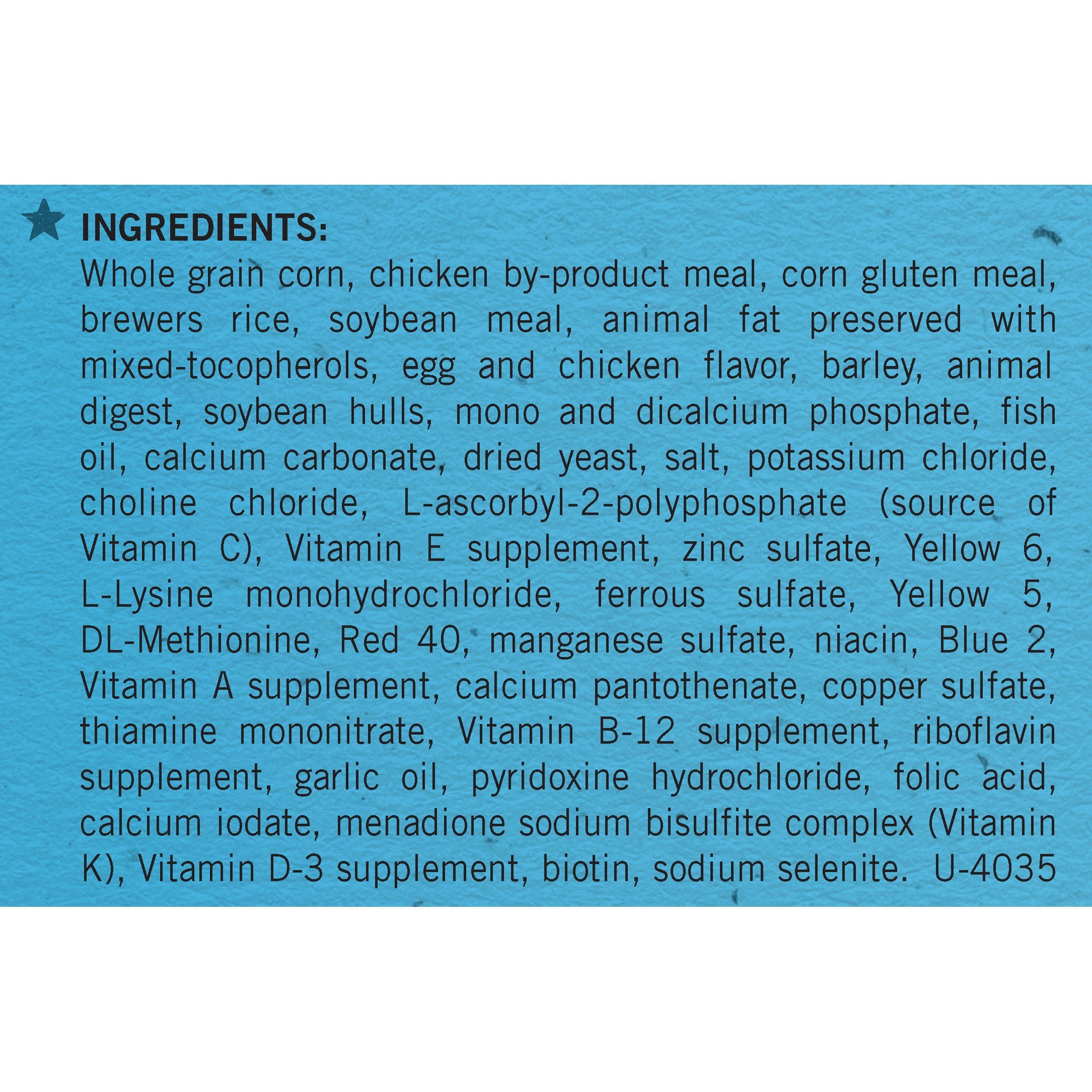 Purina 178116 Puppy Chow Large Breed, 32-Pound