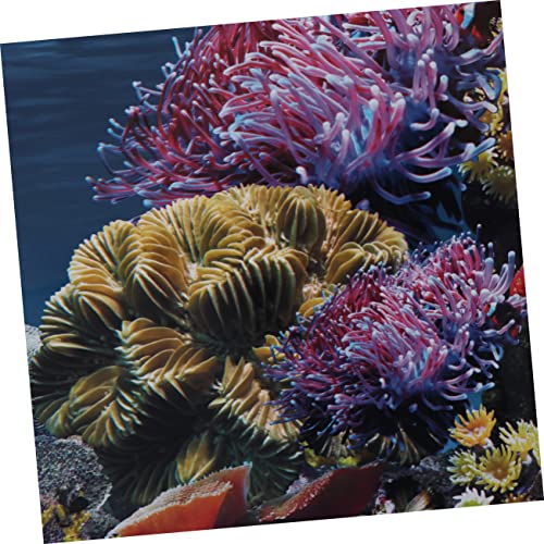 POPETPOP Backdrop Decor Wallpaper Stickers Fish Tank Backdrop Image Decor Decorative Poster Aquarium Background 20 Gallon Decorative Picture Double-Sided Decorative Sticker 3D Large