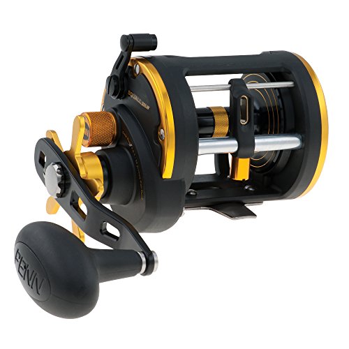 PENN Fishing SQL20LW Squall LevelWind , Black, 315yd/20Lb