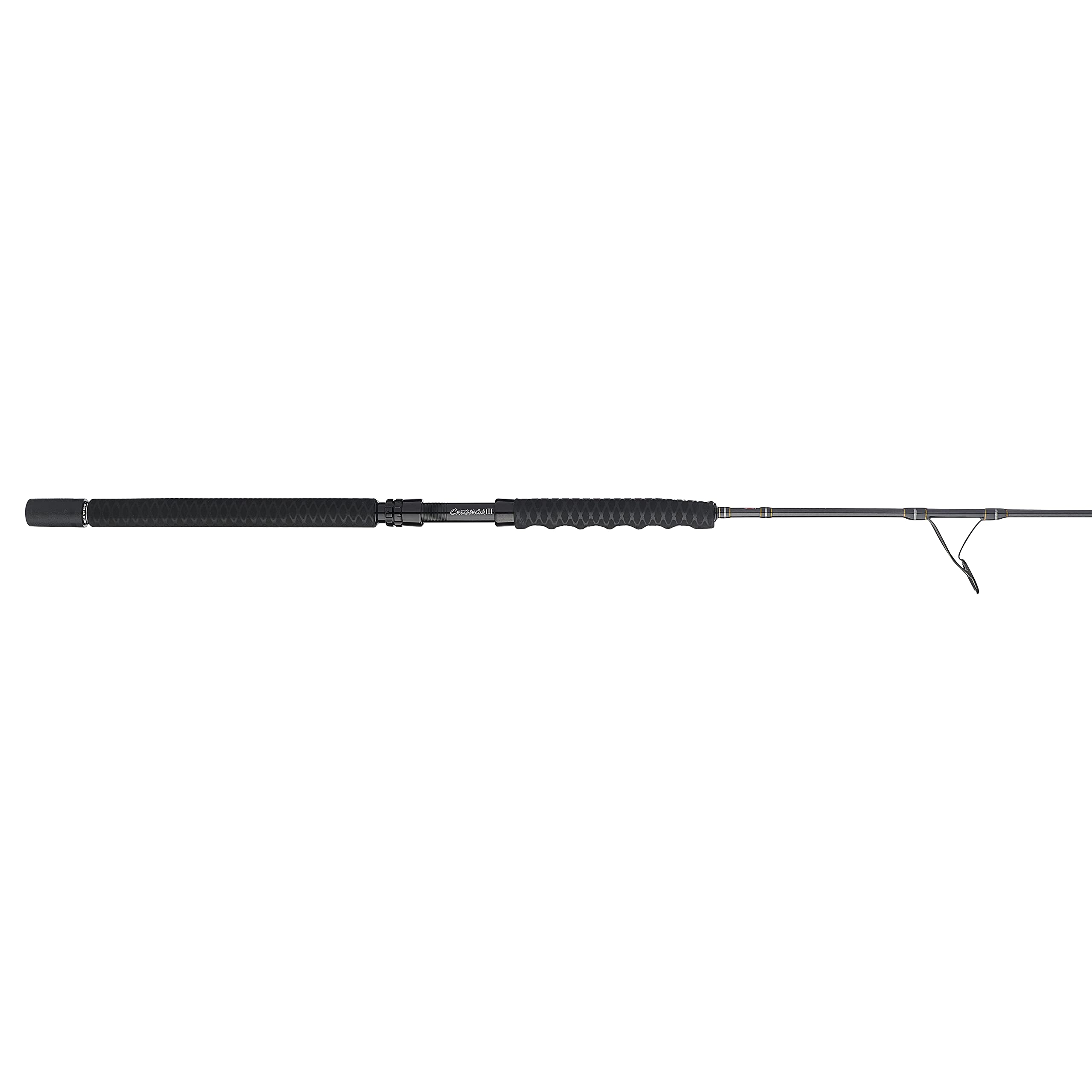 PENN® Carnage™ II Boat Spinning