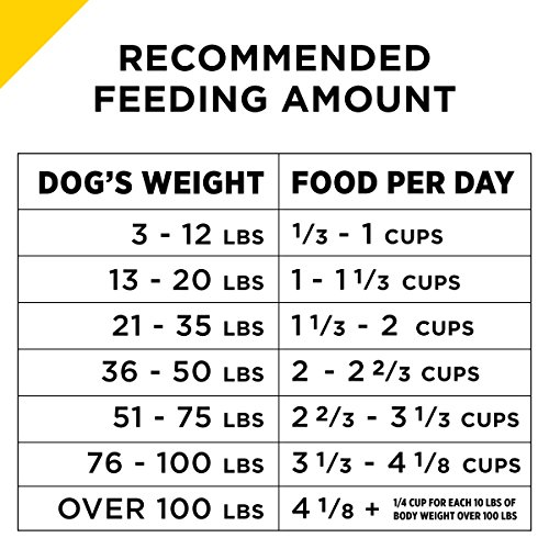 Purina Pro Plan High Protein, Cognitive Health Dry Dog Food, Chicken & Rice Formula - 16 lb. Bag