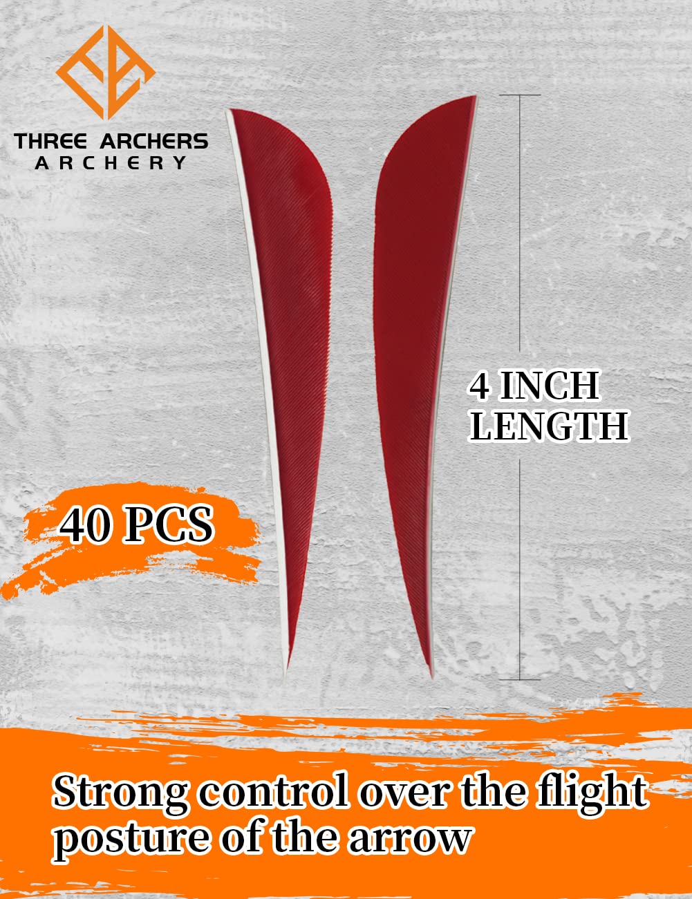 THREE ARCHERS 40 PK Arrow Feather Fletching 4β Nature Turkey Feather for Archery DIY Arrows (red)