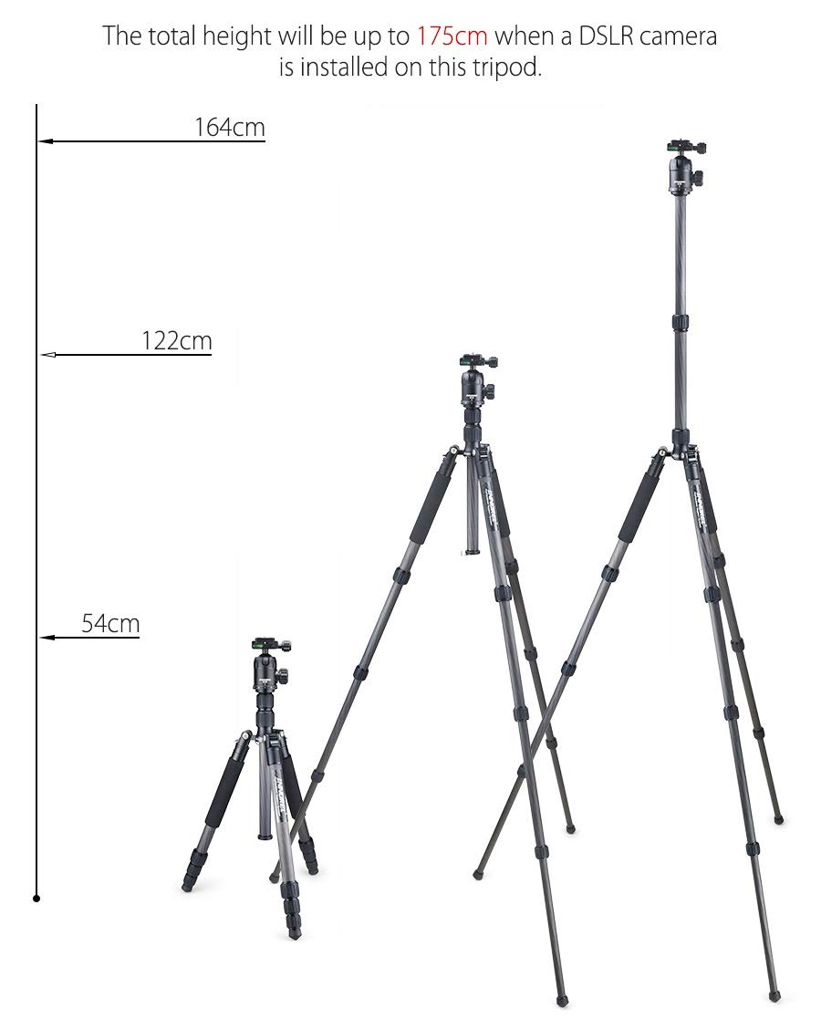 RT40C Professional Carbon Fiber Tripod for Digital Camera tripode Suitable for Travel Series Camera Stand