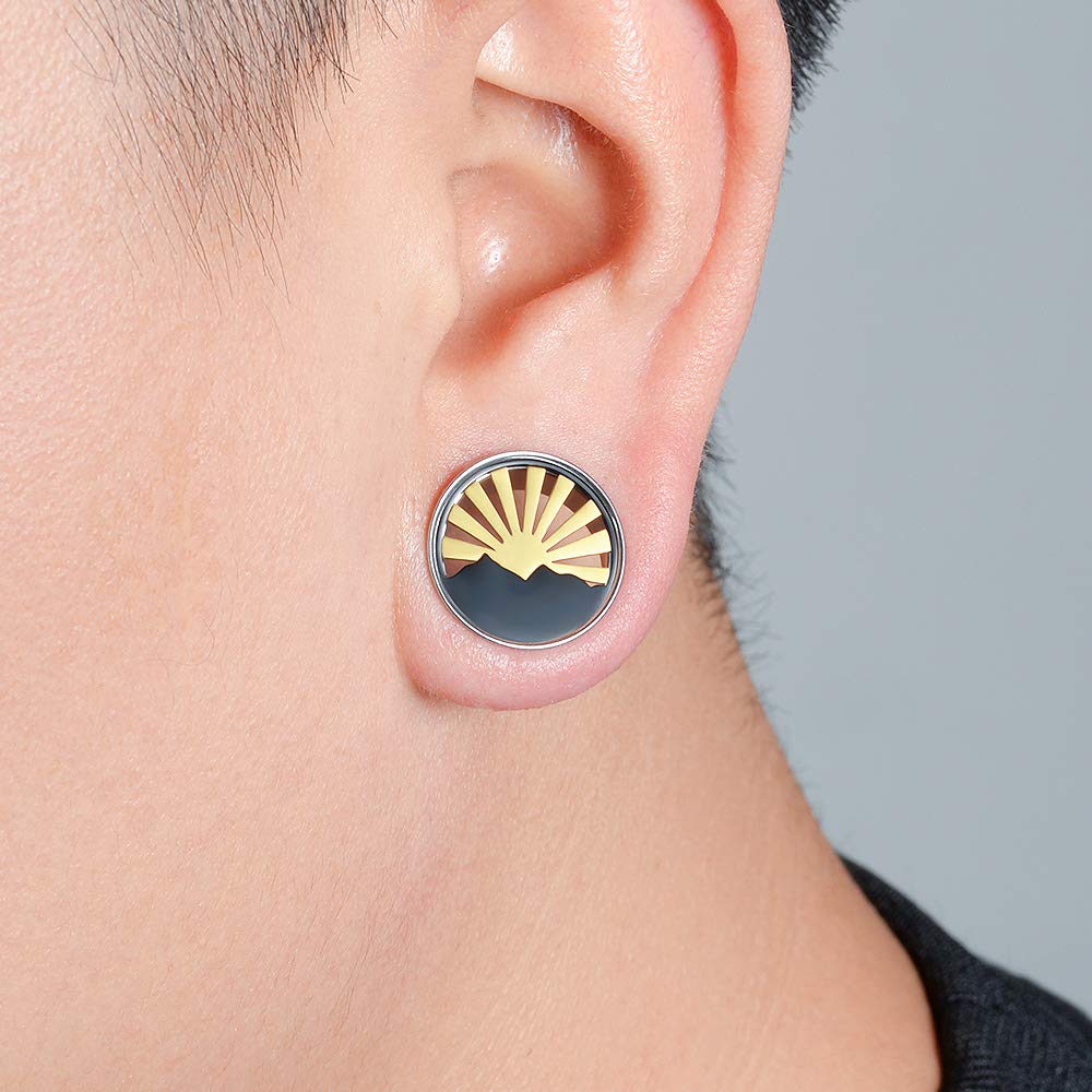 TBOSEN 2PCS Sunrise Style Plugs and Tunnels for Ears Stainless Steel Ear Gauges Piercing Hangers Expander Stretchers 0g-1'' in 8mm-25mm