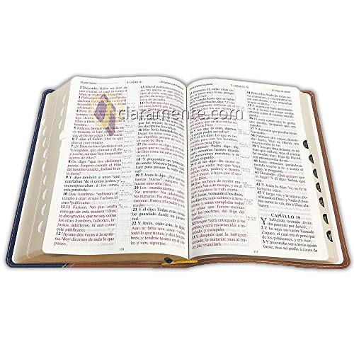 Santa Biblia Letra Gigante con Concordancia | Reina Valera Antigua RVA 1909 - imitacion piel duotono cafe y azul con indice