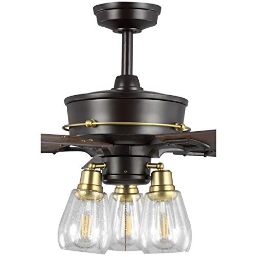 Progress Lighting Teasley Collection 56" Five-Blade Ceiling Fan with Glass Shades