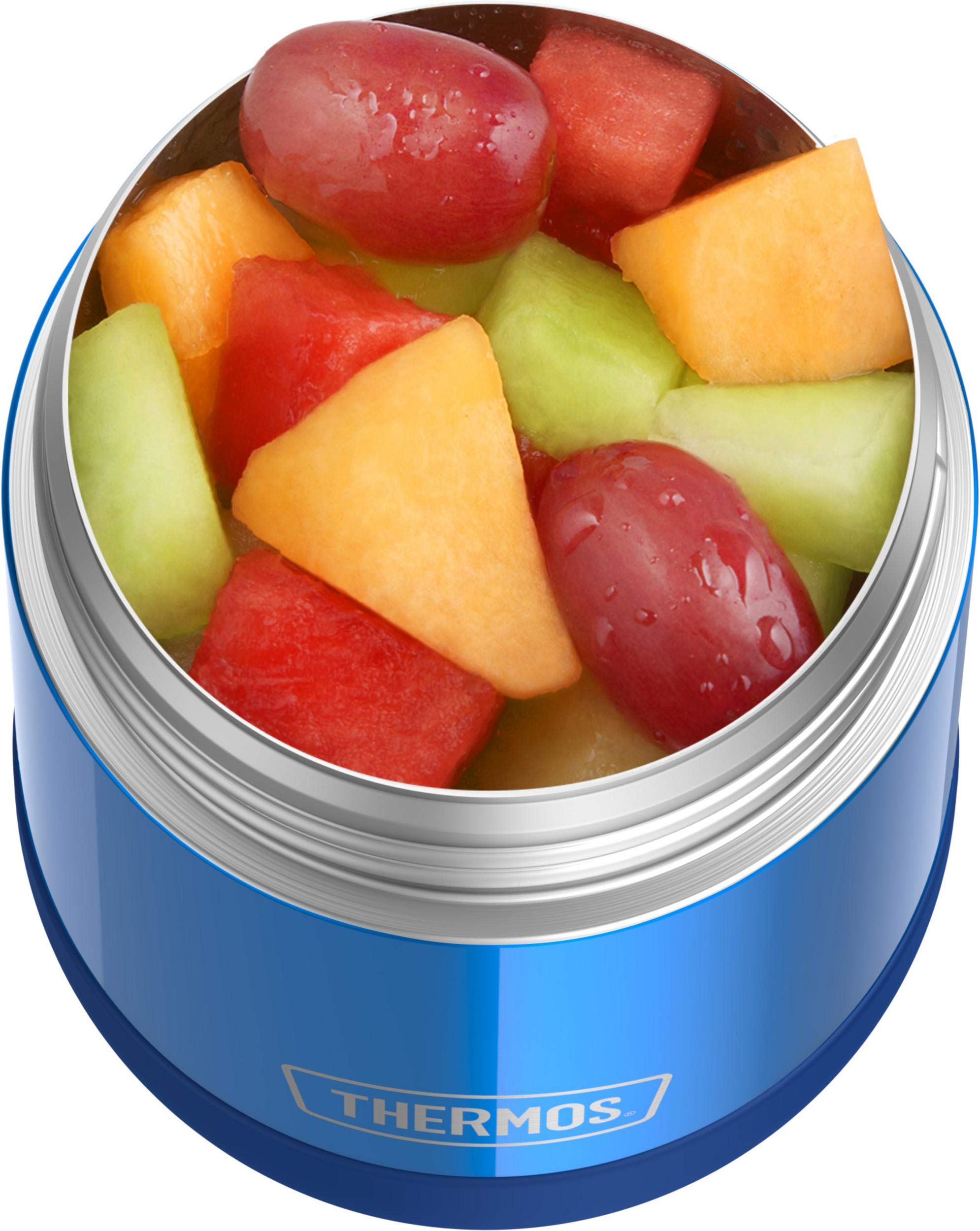 Thermos Stainless Steel Vacuum 10 Ounce Food Jar, Blue