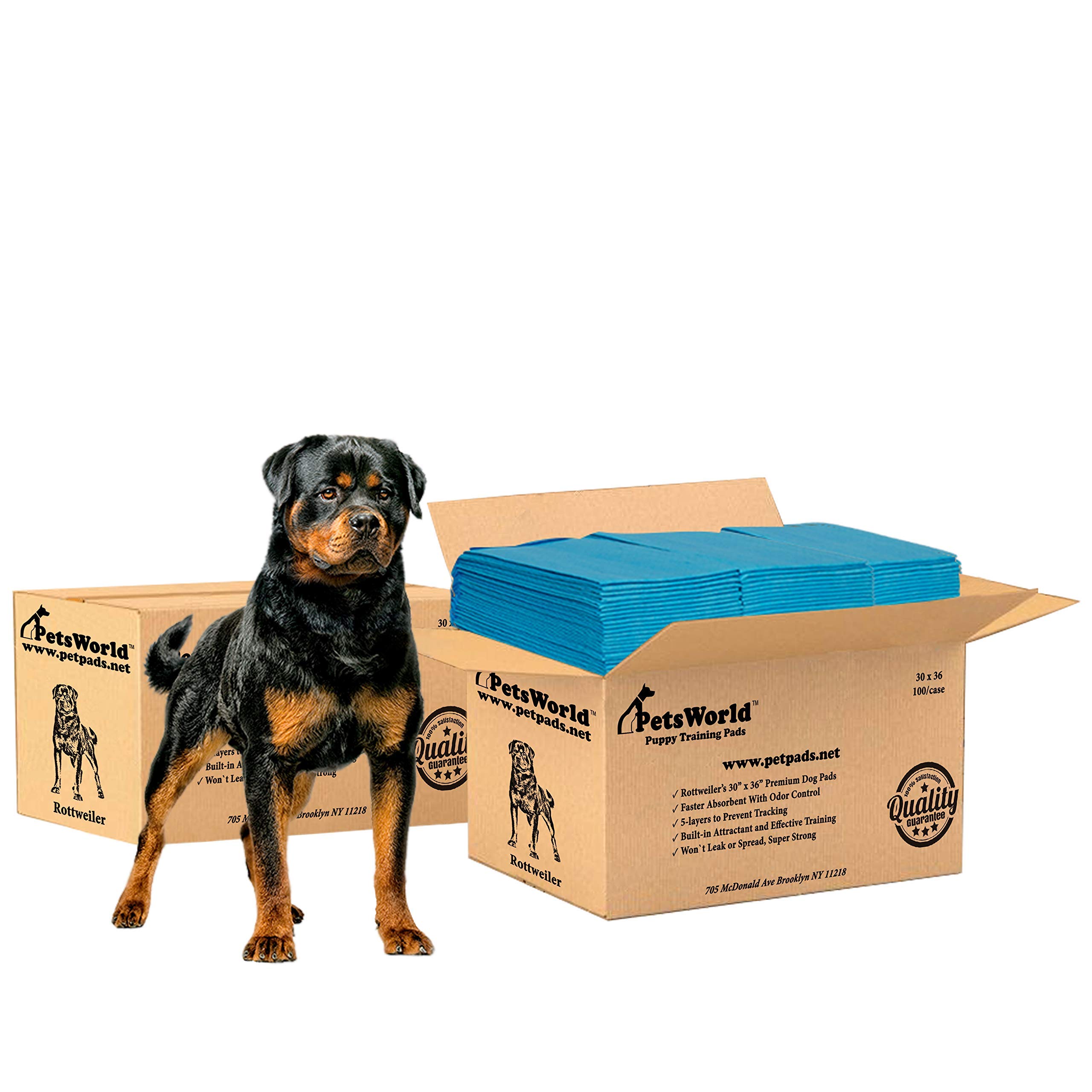 PETSWORLD Extra Large Potty Pads for Dogs, Odor Eliminating 30" x 36", 200 Count Pee Pads for Pets, Gigantic XL Dog Pads, 5 Layer Ultra Absorbent Technology, Leak Proof Training Pads for Dogs & Cats