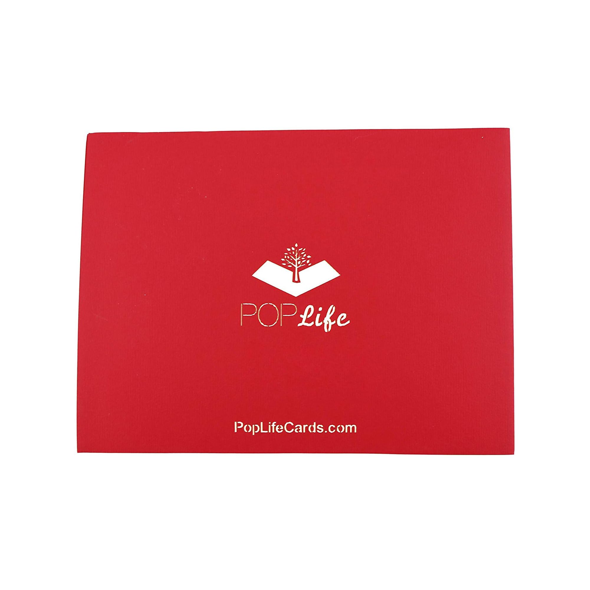 PopLife Eiffel Tower, Paris 3D Pop Up Greeting Card for All Occasions - Travellers, Romantics, History Lovers - Folds Flat for Mailing - Birthday, Graduation, Retirement, Anniversary, Engagement