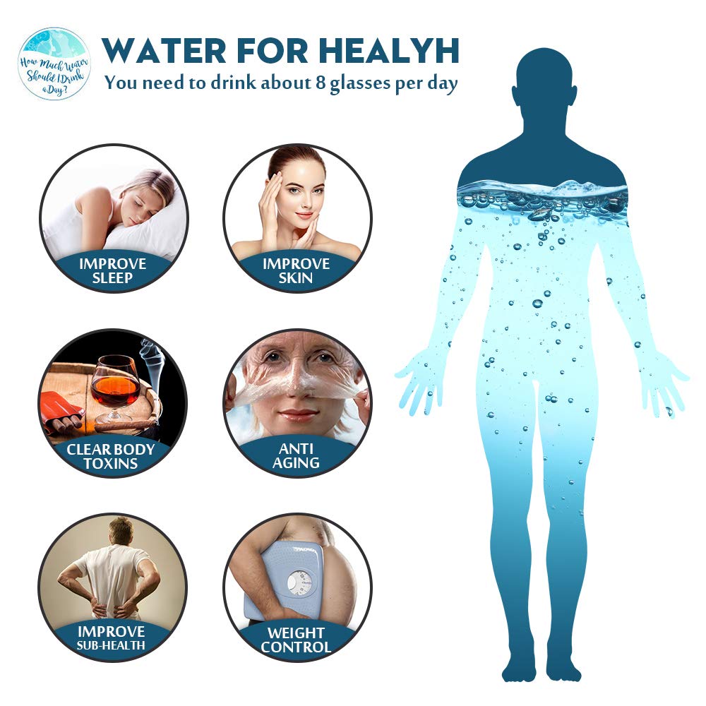 SAIKUN Hydrogen Rich Water Cup ,PEM Technology Ionizer , Portable USB Rechargeable Ionized Water Generator Anti Aging Antioxidant Glass Bottle- 350ml