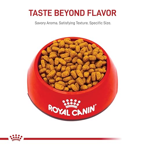 Royal Canin Maltese Adult Dry Dog Food, 10 lb bag