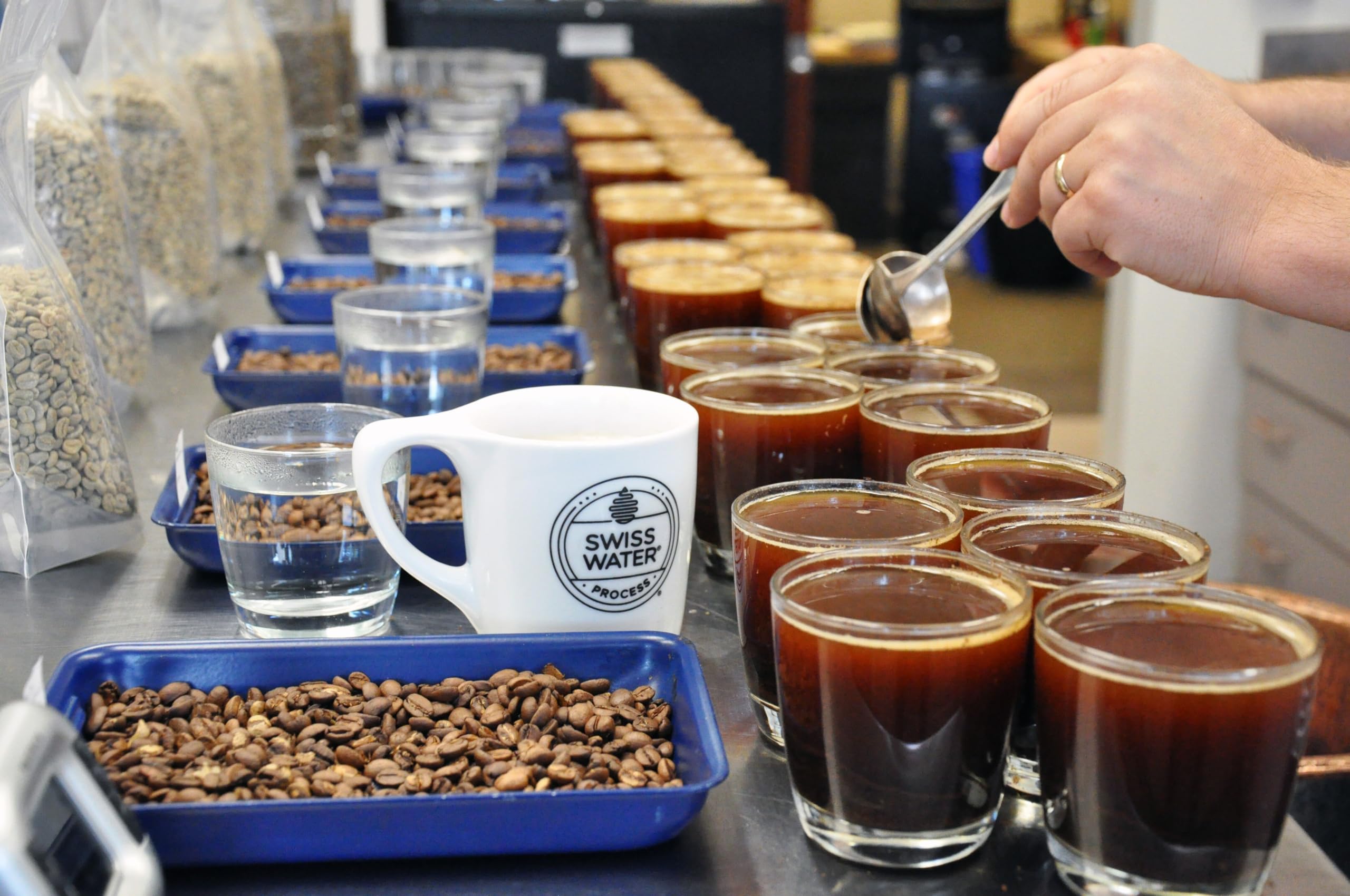 Verena Street 2 Pound Whole Bean, Swiss Water Process Decaf Beans, Sunday Drive Decaffeinated, Medium Roast Rainforest Alliance Certified Arabica Coffee