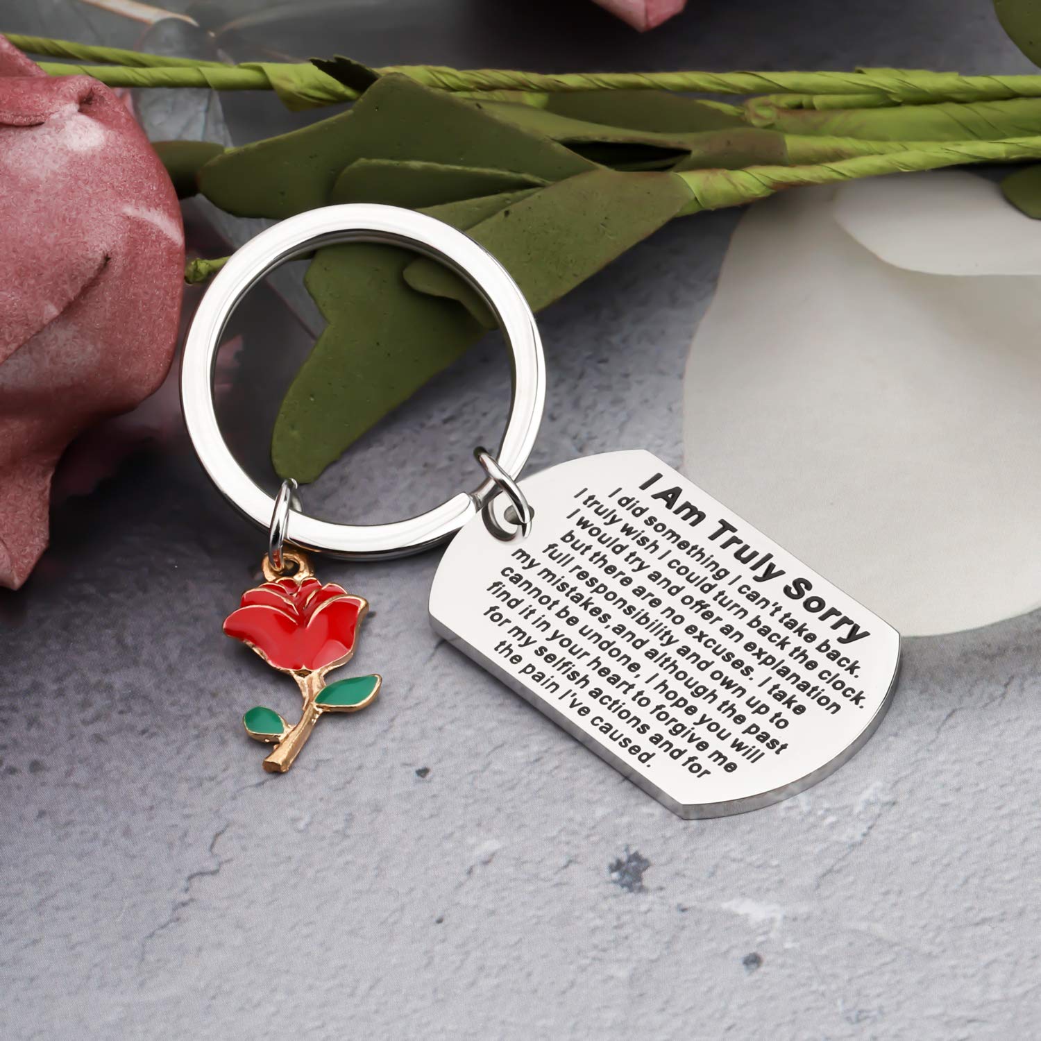 WSNANG Apology Keychain Gift Sorry Jewelry I Am Truly Sorry Gift Idea for Apologizing Forgive Me Gifts (I Am Truly Sorry DT)