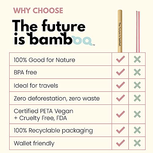 The Future is Bamboo – Bamboo Straws, Reusable Straws, Wooden Straws for Drinks, Pack of 6