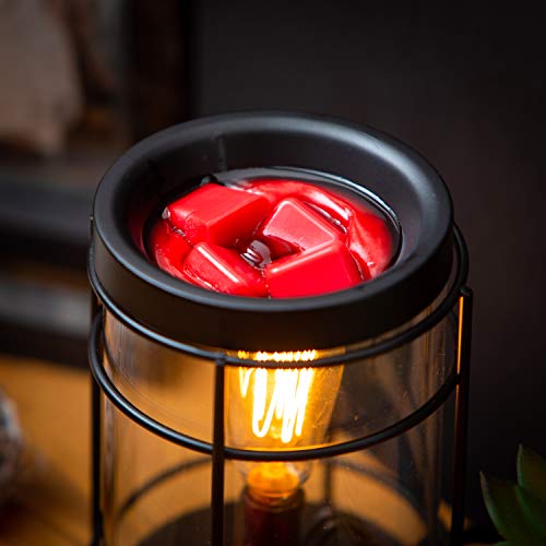 Scented Soy Wax Melts – Set of 8 Assorted 2.5oz Wax Cubes/Tarts | Home Fragrance for Candle Warmers | Bulk Value Pack