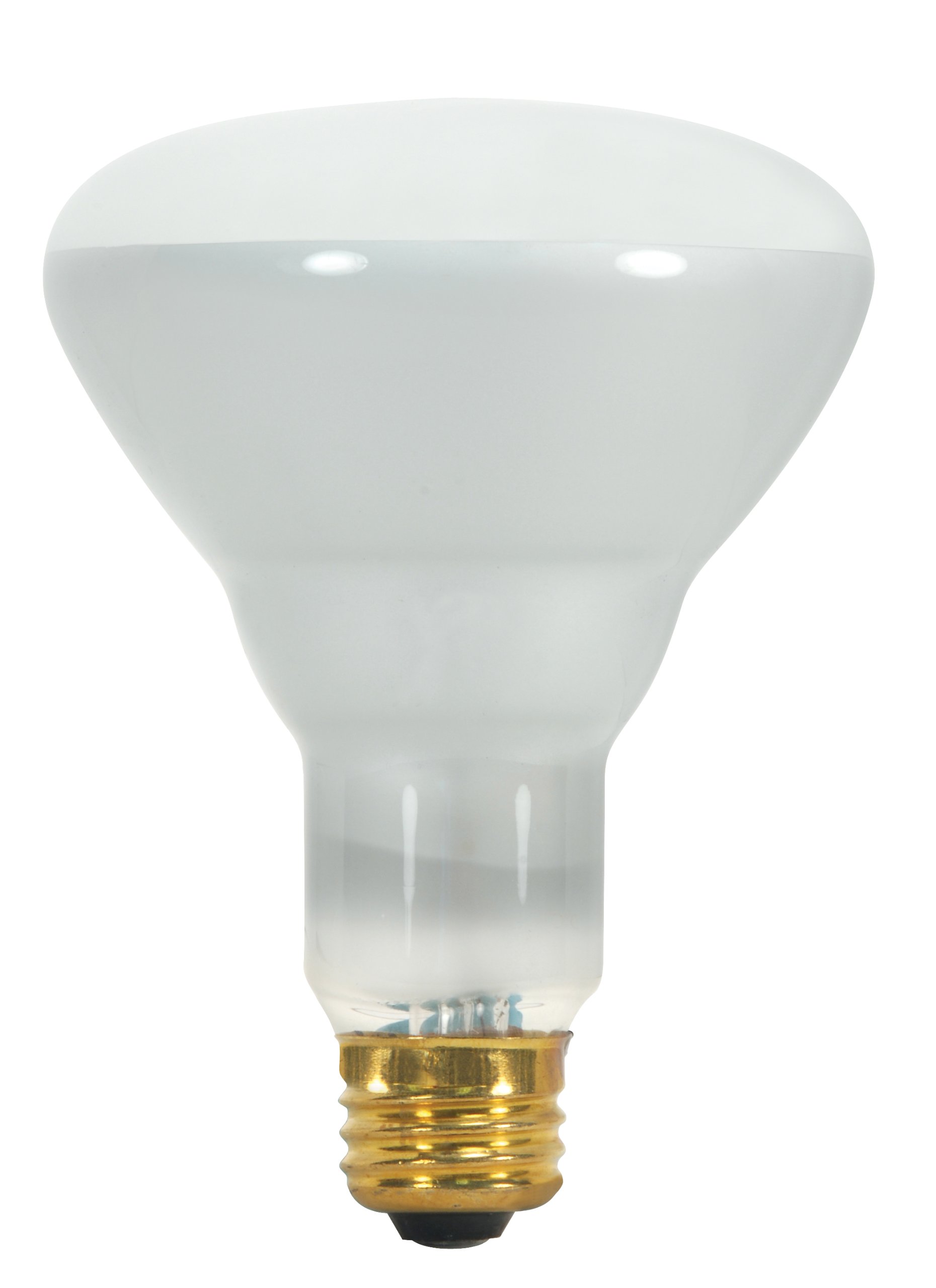 Satco S8520 130-Volt 65-Watt BR30 Medium Base Light Bulb, Frosted,