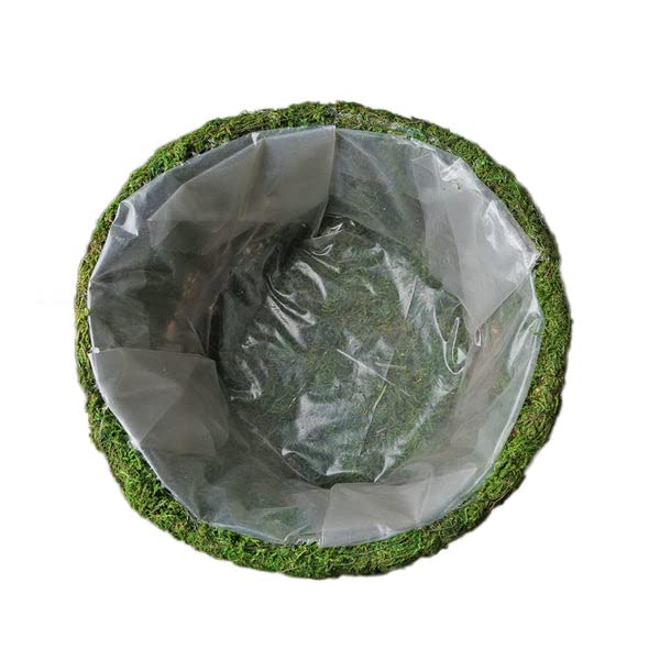 TABLECLOTHSFACTORY Set of 2 | Preserved Moss Watering Can Planter Box with Natural Braided Twine Bow - 11" & 10"